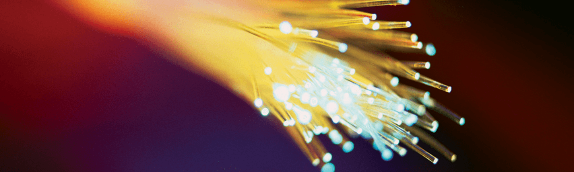 Bandweaver | Integrated Distributed Fiber Optic Sensing Solutions